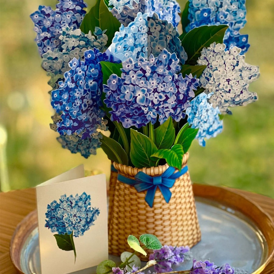 Nantucket Hydrangea - Freshcut Paper – Terrazza